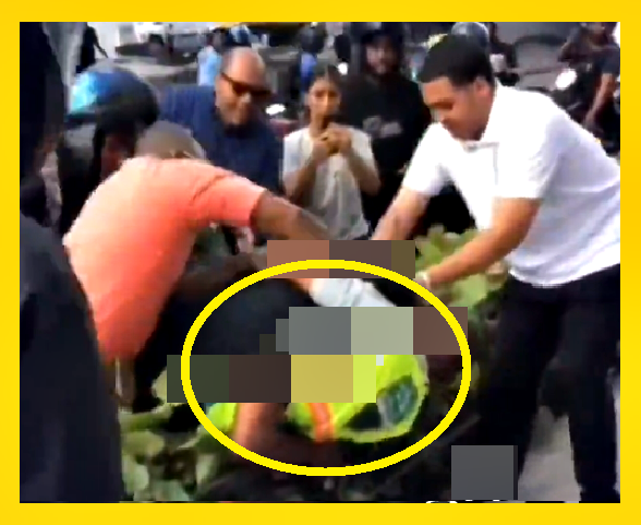 INSEPARABLES - Noticias GH